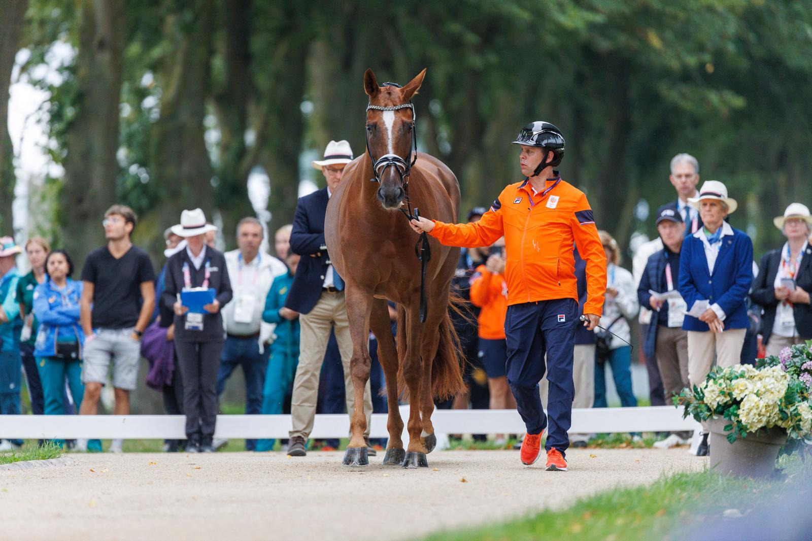 Over Ons | Stal La Rêve